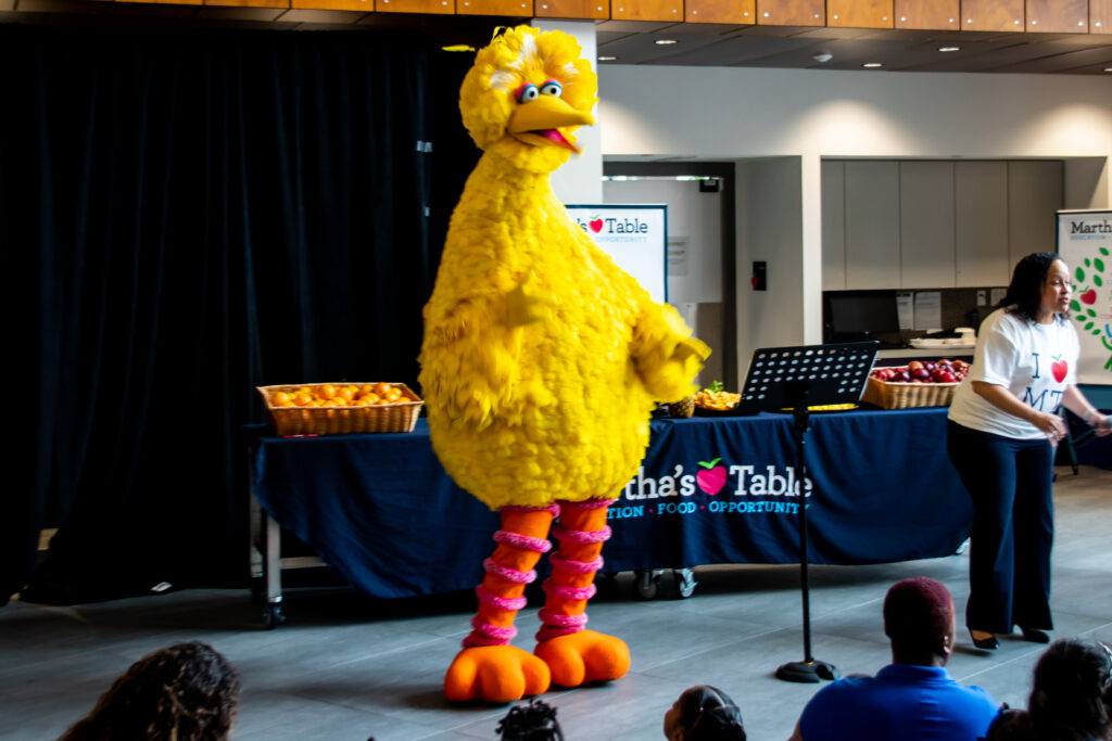 Big Bird | Hollywood On The Potomac